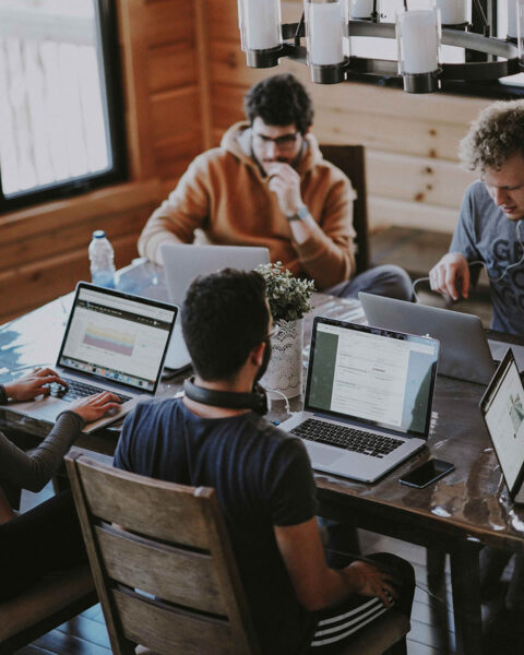 Barrett Lab - evolutionary ecology and experimental genomics