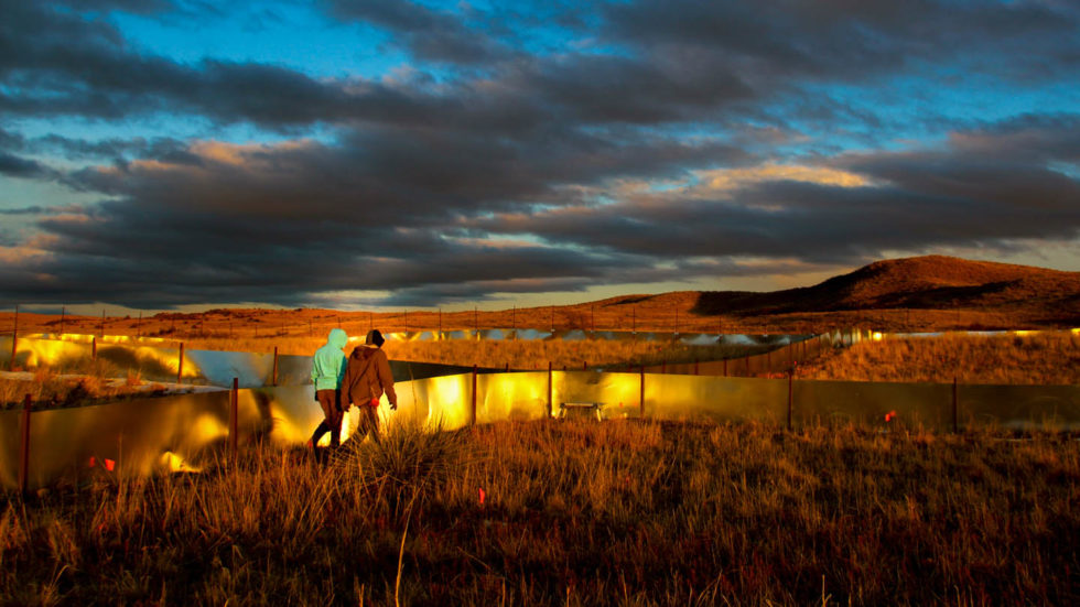 Barrett Lab - evolutionary ecology and experimental genomics