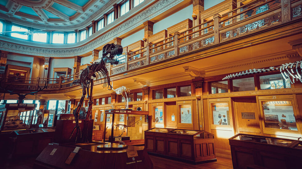 Barrett Lab - evolutionary ecology and experimental genomics